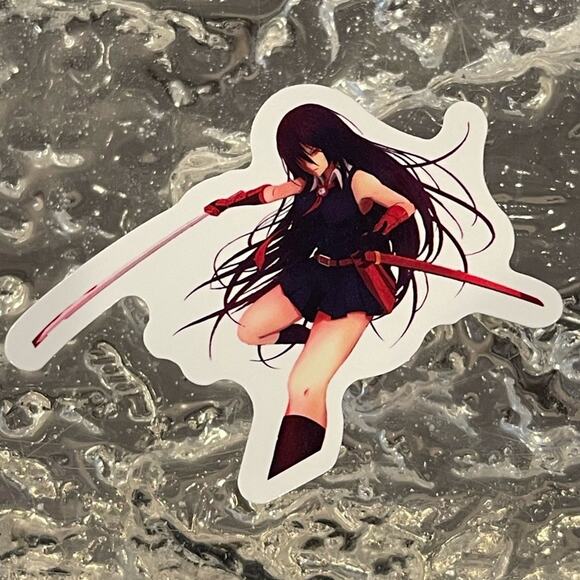 Office | 51 Waterproof Vinyl Decorative Stickers Akame Ga Kill | Poshmark